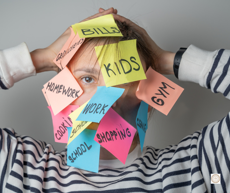 Kane County Connects